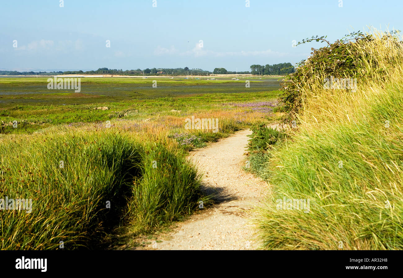 COMMON NAME: Landscape Stock Photo - Alamy