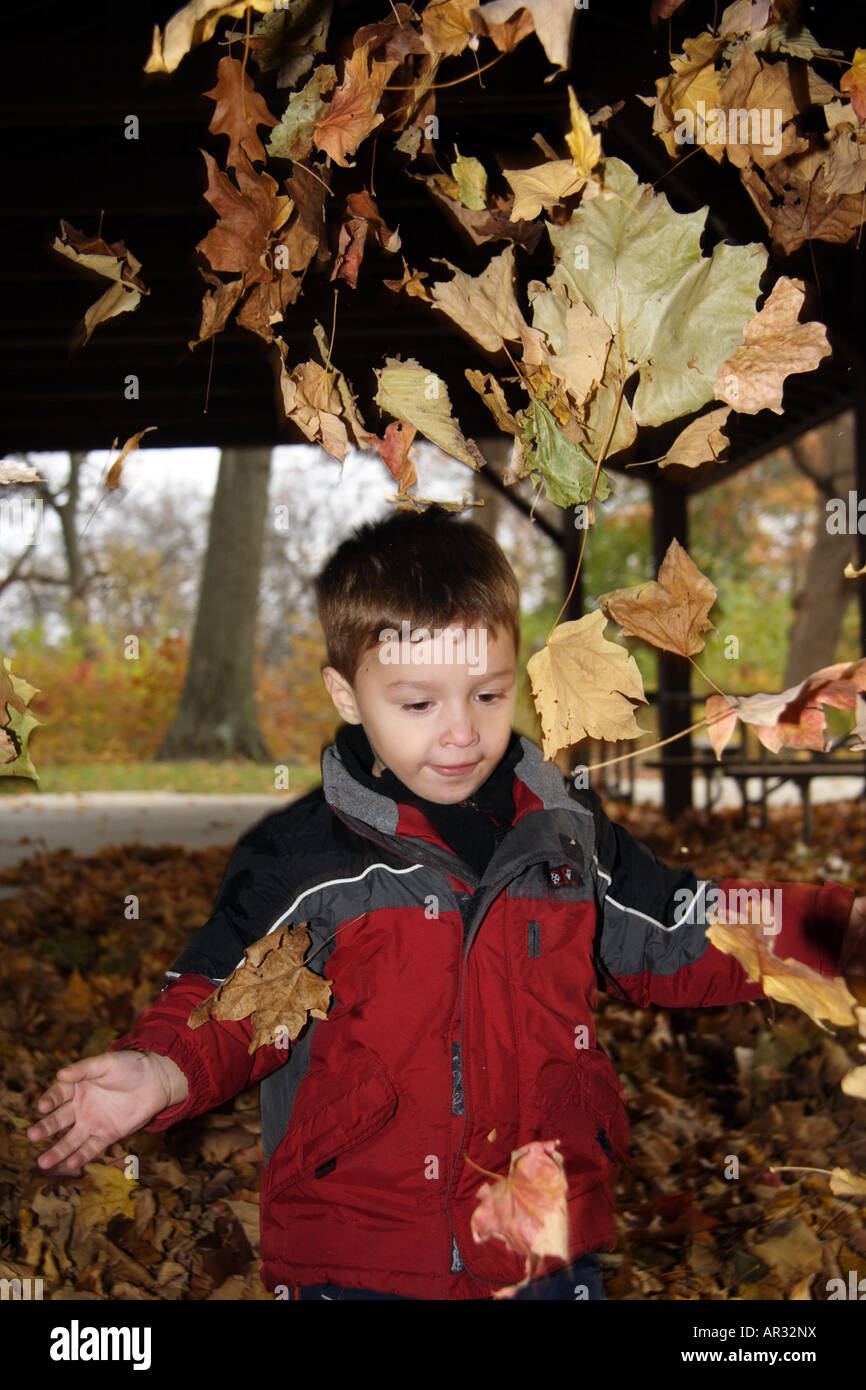 Boy is playing with the leafs at Seager Park Stock Photo - Alamy