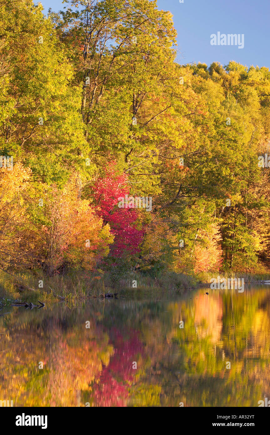 Beauty Lake, Pillsbury State Forest, Cass County, Minnesota USA Stock ...