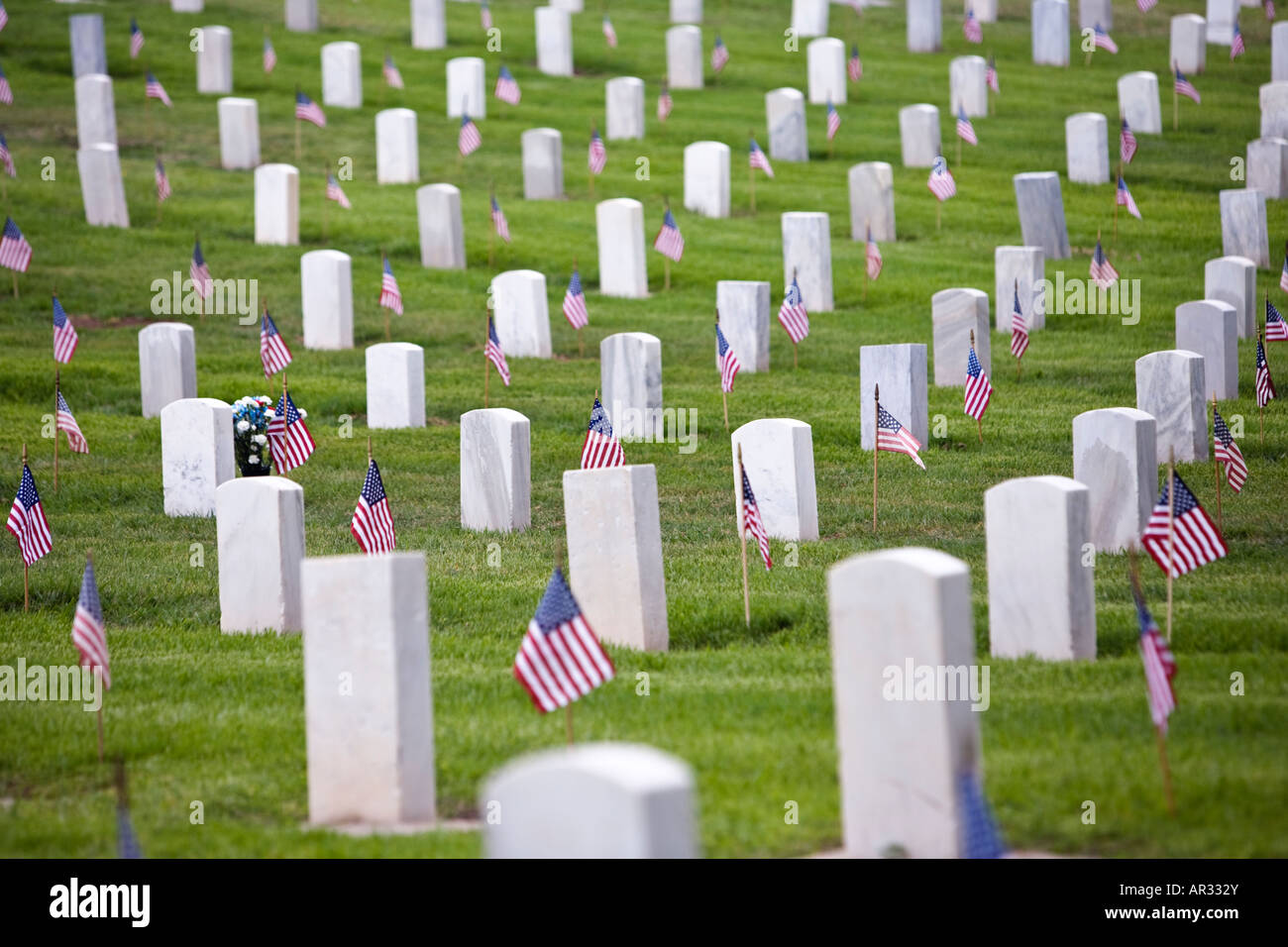 veterans cemetery on Veterans day with american flags on the graves ...