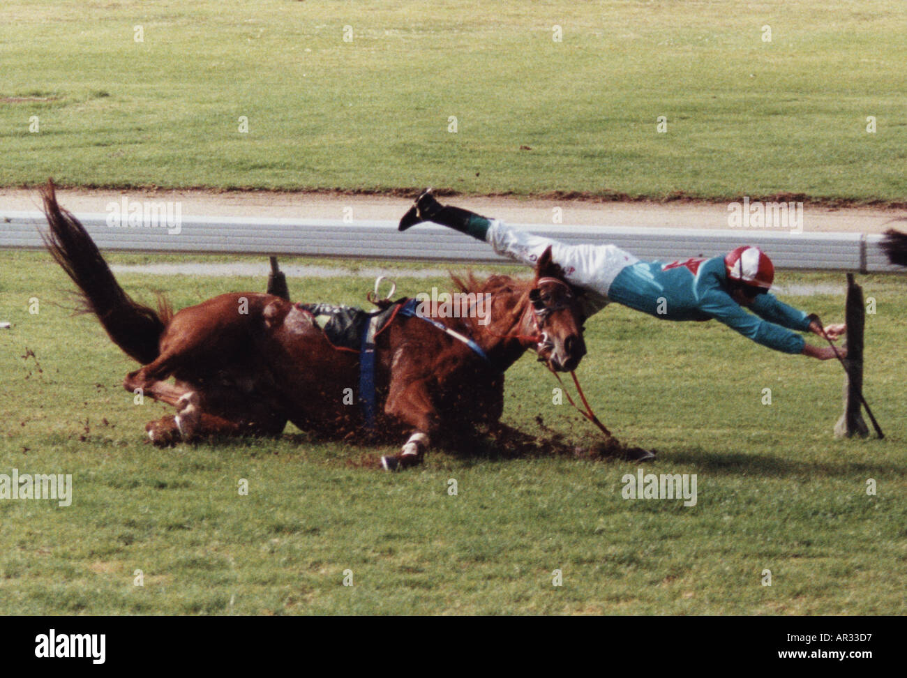 Jockey and horse falling in hurdle race Stock Photo - Alamy