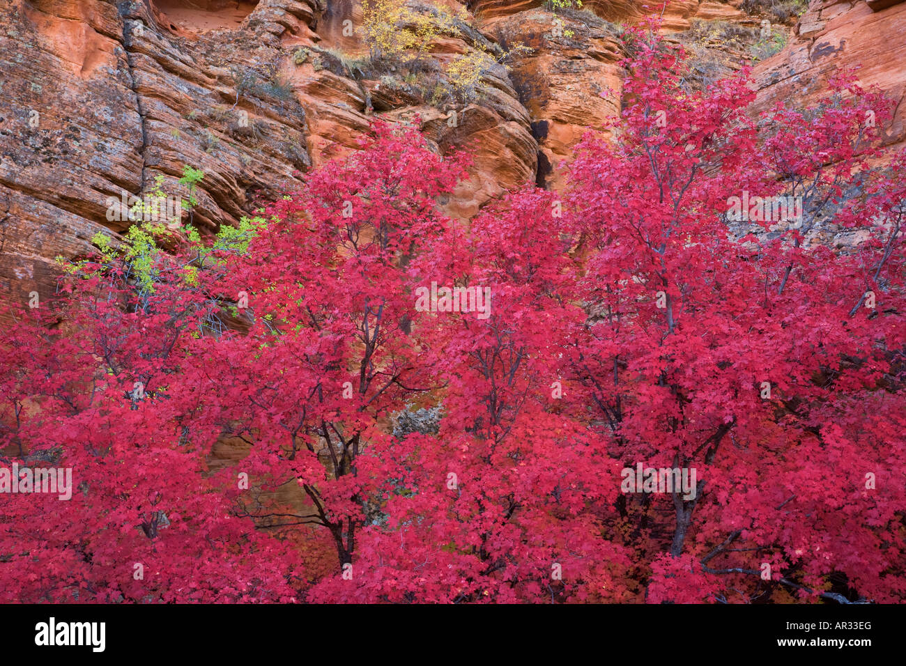 National colors colours hi-res stock photography and images - Alamy
