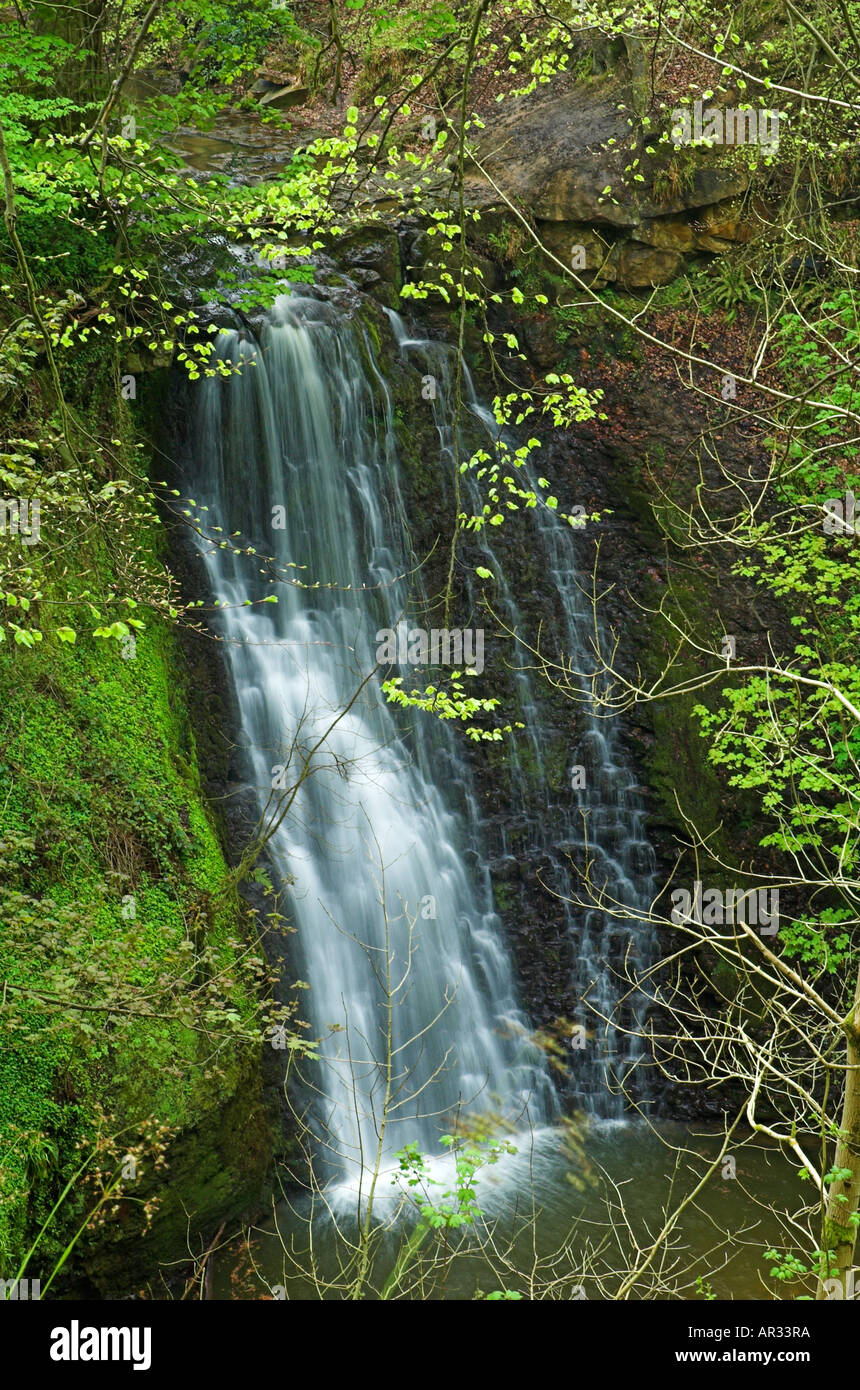 Littlebeck hi-res stock photography and images - Alamy