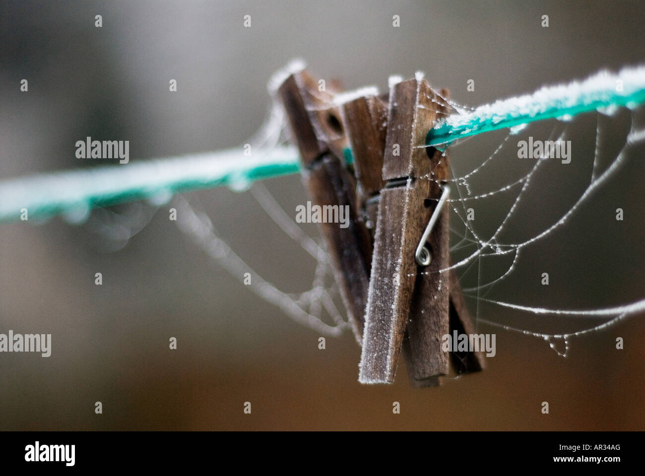 pegs on a washing line Stock Photo - Alamy