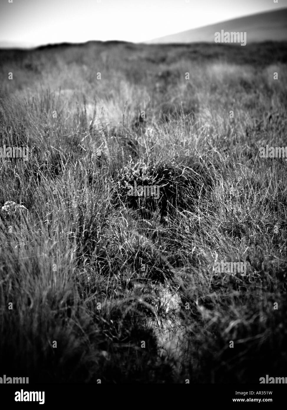 Moorland england Black and White Stock Photos & Images - Alamy