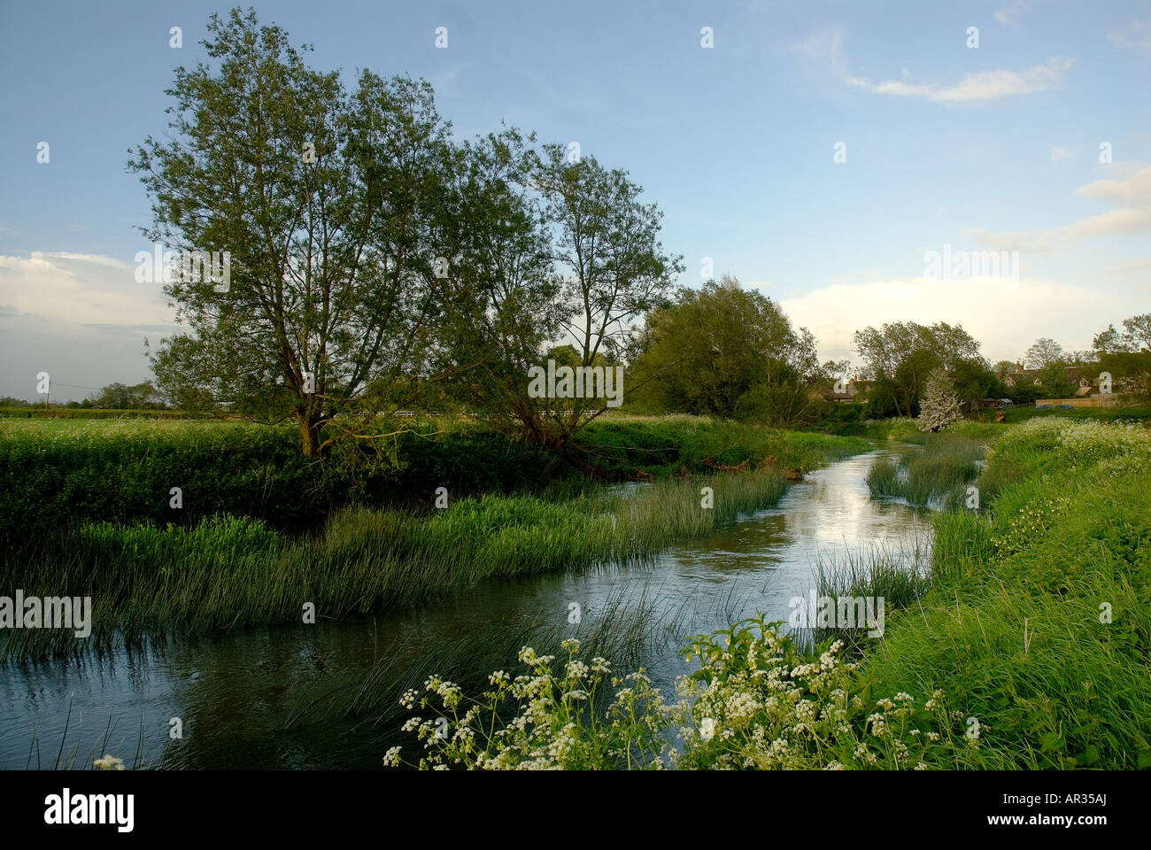 pic martin phelps 02 06 06 castle eaton Stock Photo - Alamy