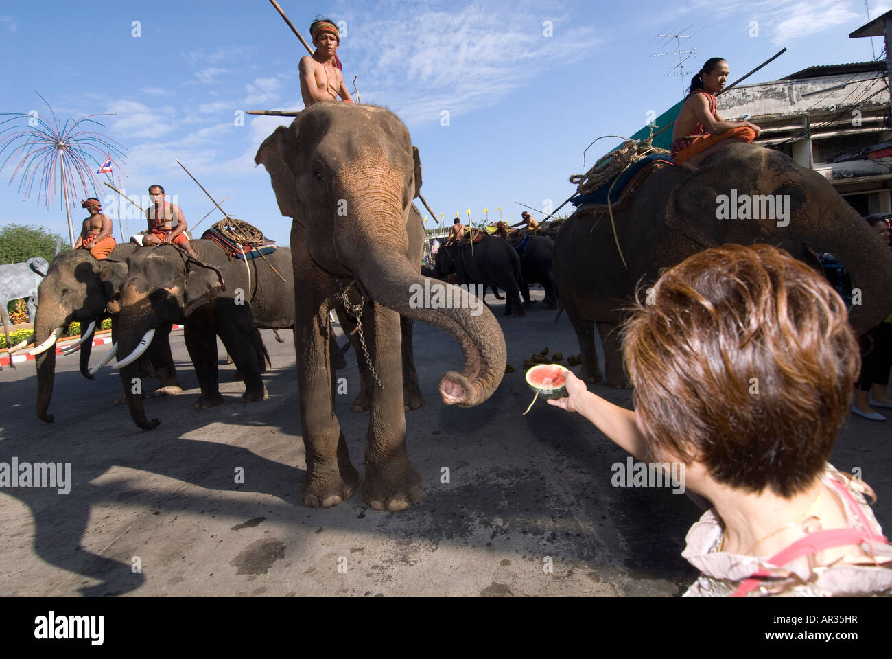 Surin Elephant roundup Thailand Stock Photo - Alamy