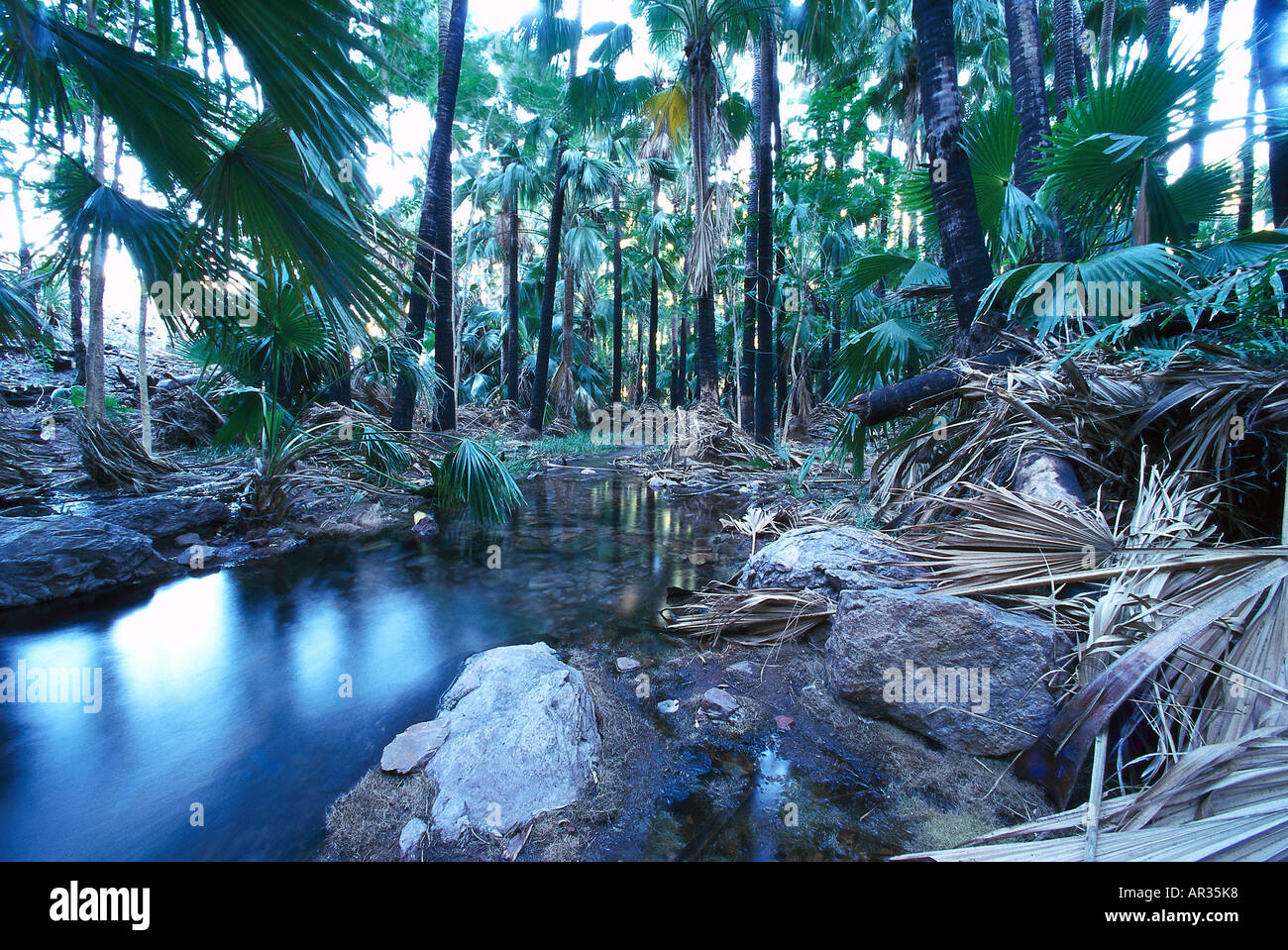 Zebedee springs and australia hi-res stock photography and images - Alamy