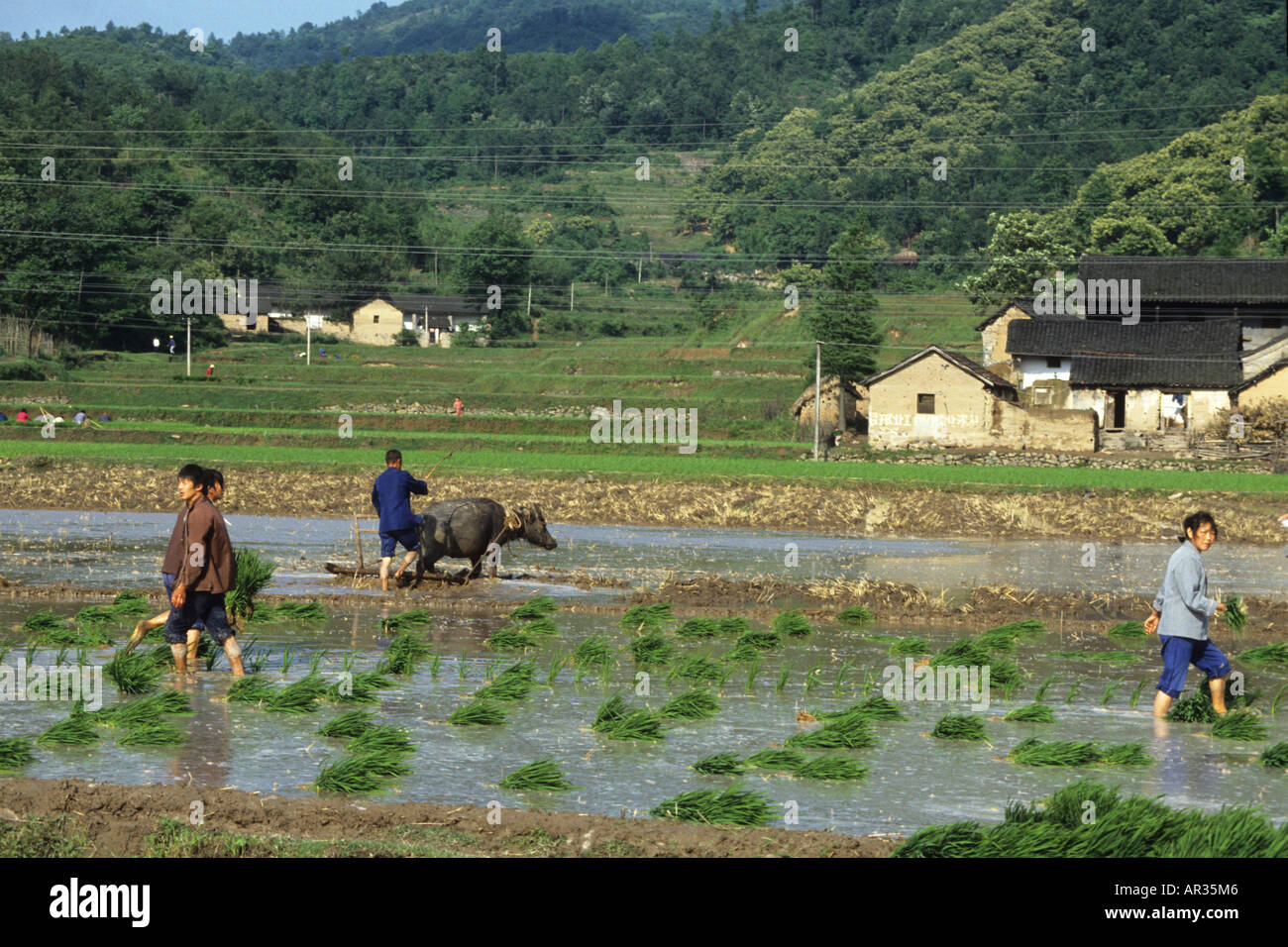 Traditional chinese village workers hi-res stock photography and images ...