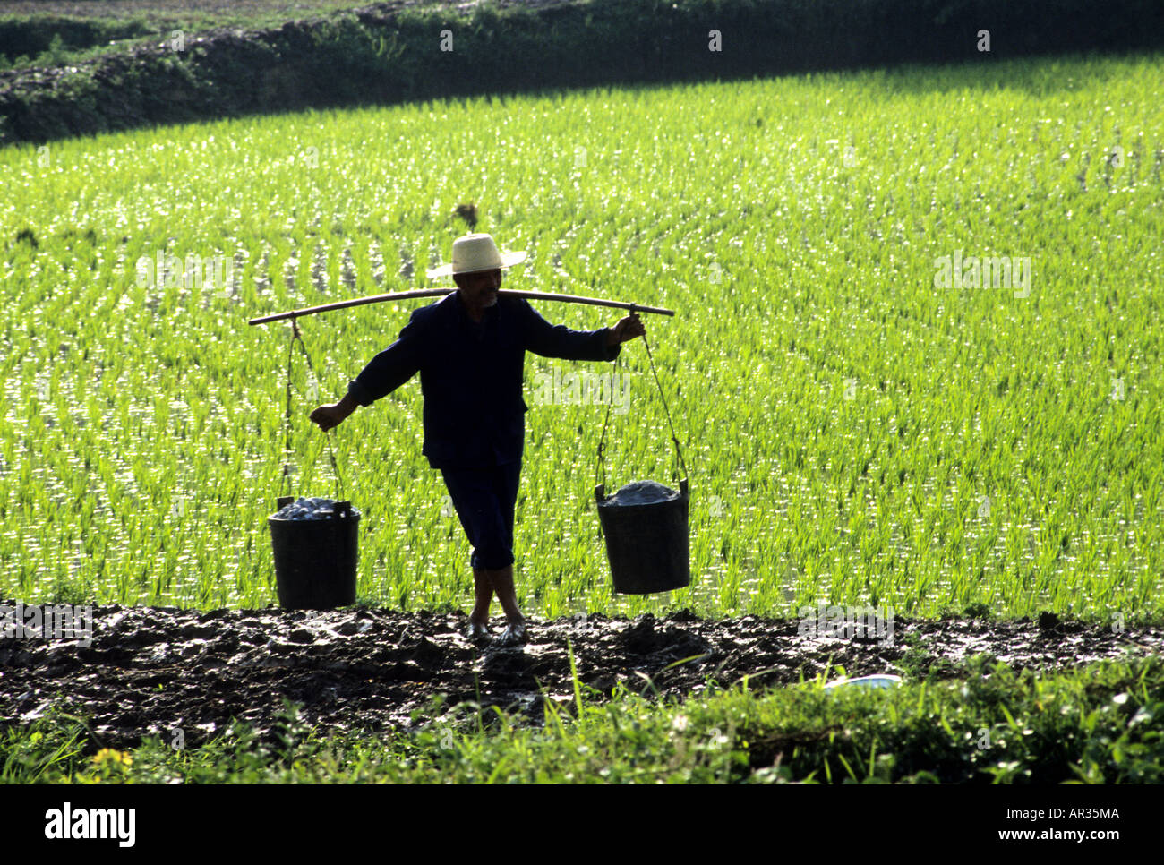 Buckets on a yoke hi-res stock photography and images - Alamy