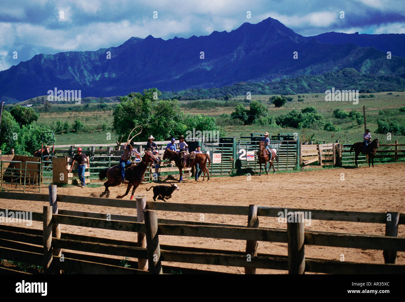 Horse kauai hawaii hi-res stock photography and images - Alamy