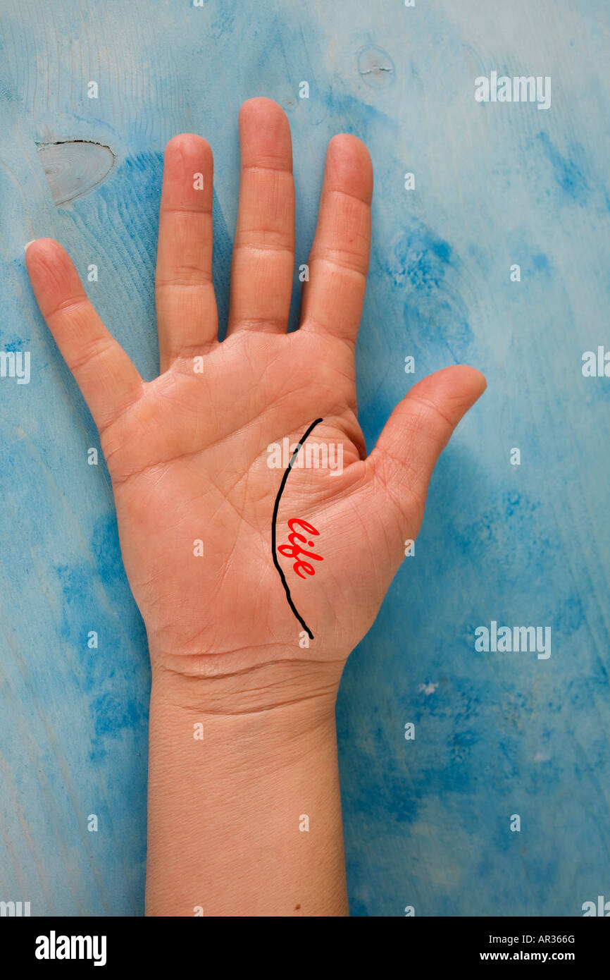 Palm with underlined life line to explain palmistry rules Stock Photo ...