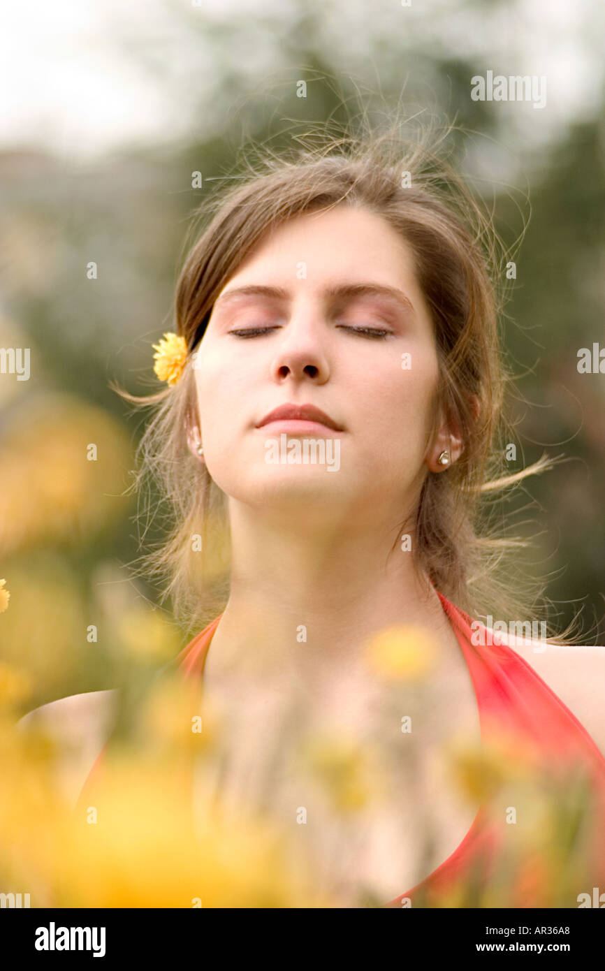 Young spring yellow flowers hi-res stock photography and images - Alamy