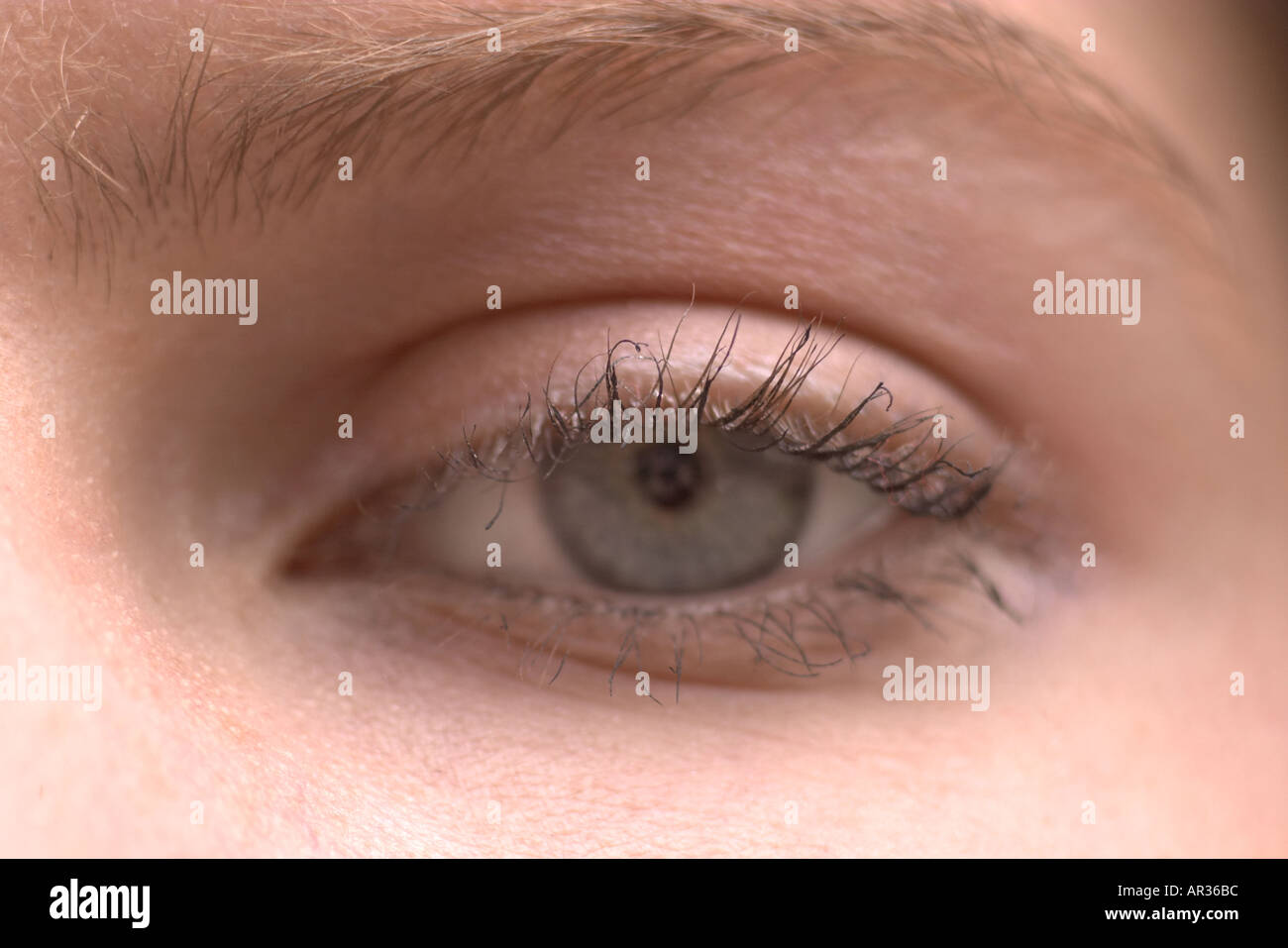 Left eye looking into camera hi-res stock photography and images - Alamy
