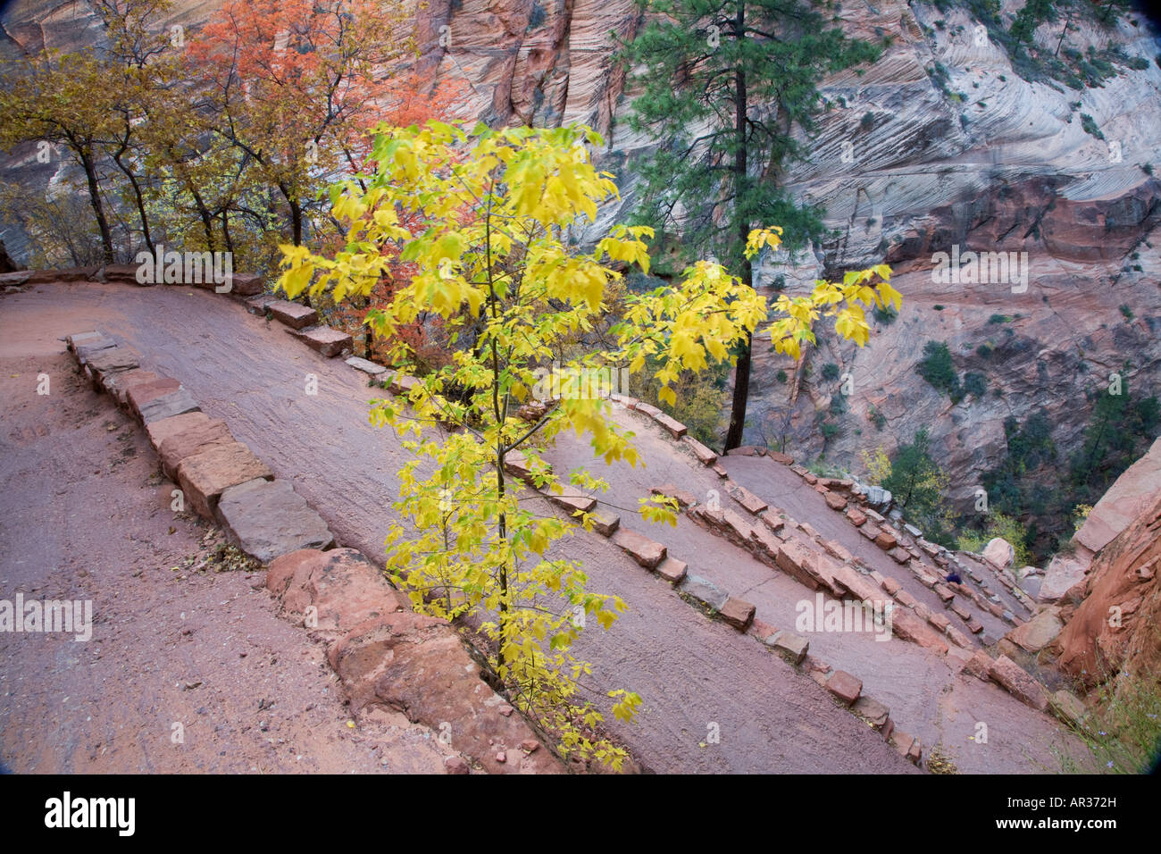 Angels Landing trail Zion National Park Utah Stock Photo - Alamy