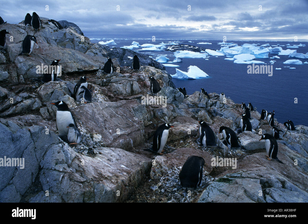 Graham Land High Resolution Stock Photography and Images - Alamy