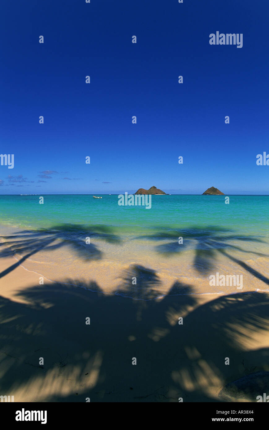 Palm tree shadow Lanikai Beach Oahu Hawaii Stock Photo - Alamy