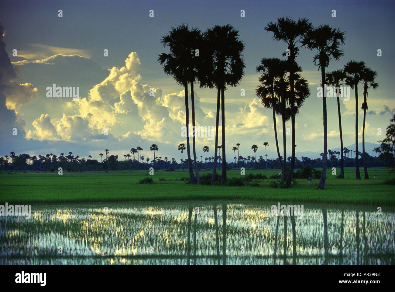 Prey veng province hi-res stock photography and images - Alamy