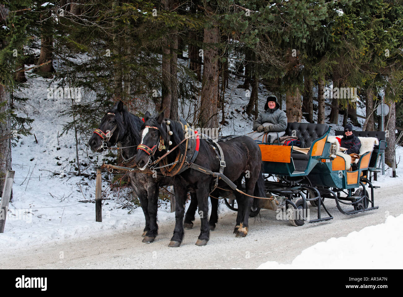 Horse sledging in Seefeld, Tyrol, Austria Stock Photo - Alamy