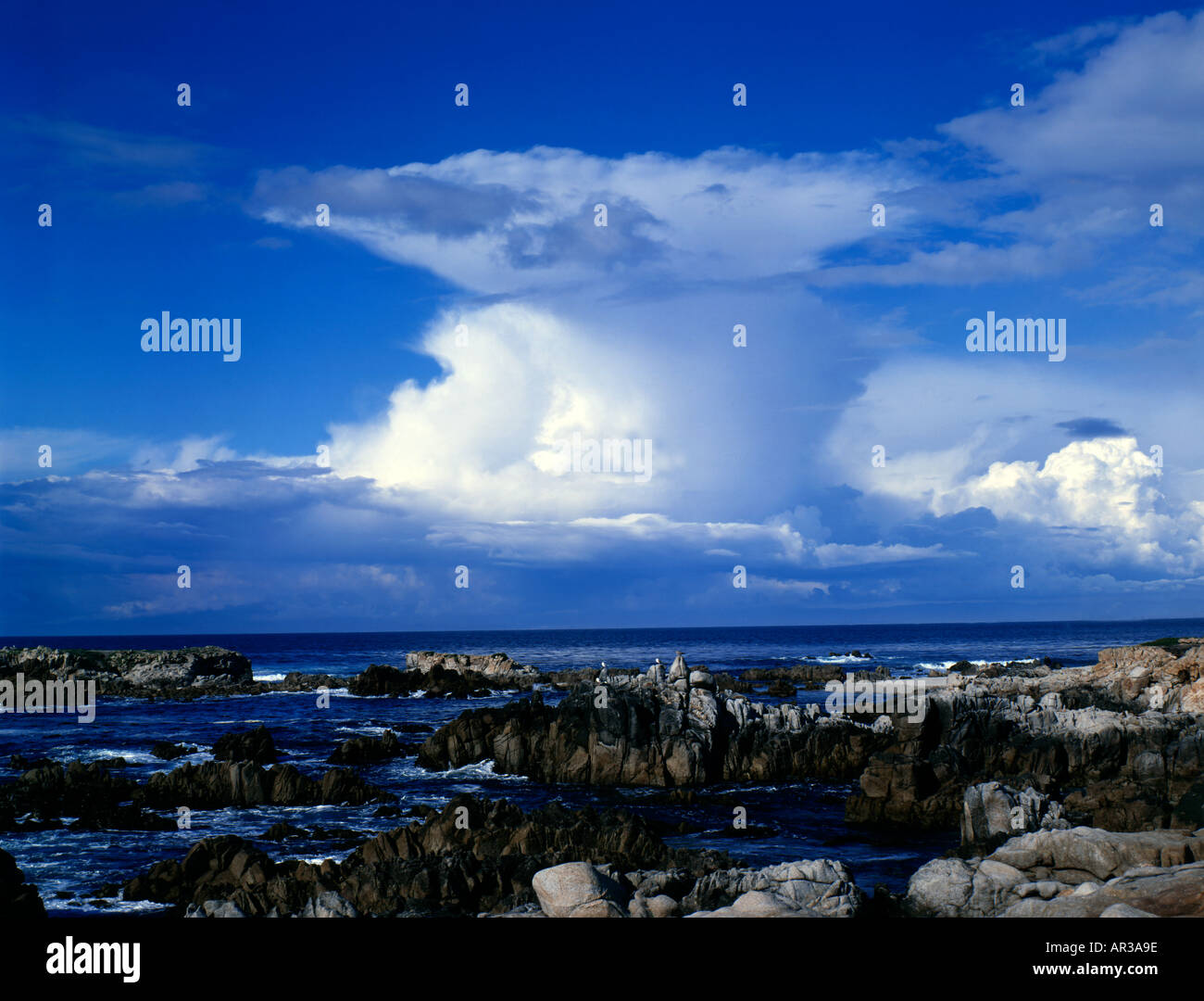 Rocky shoreline at Pacific Grove on the Monterey Peninsula of ...