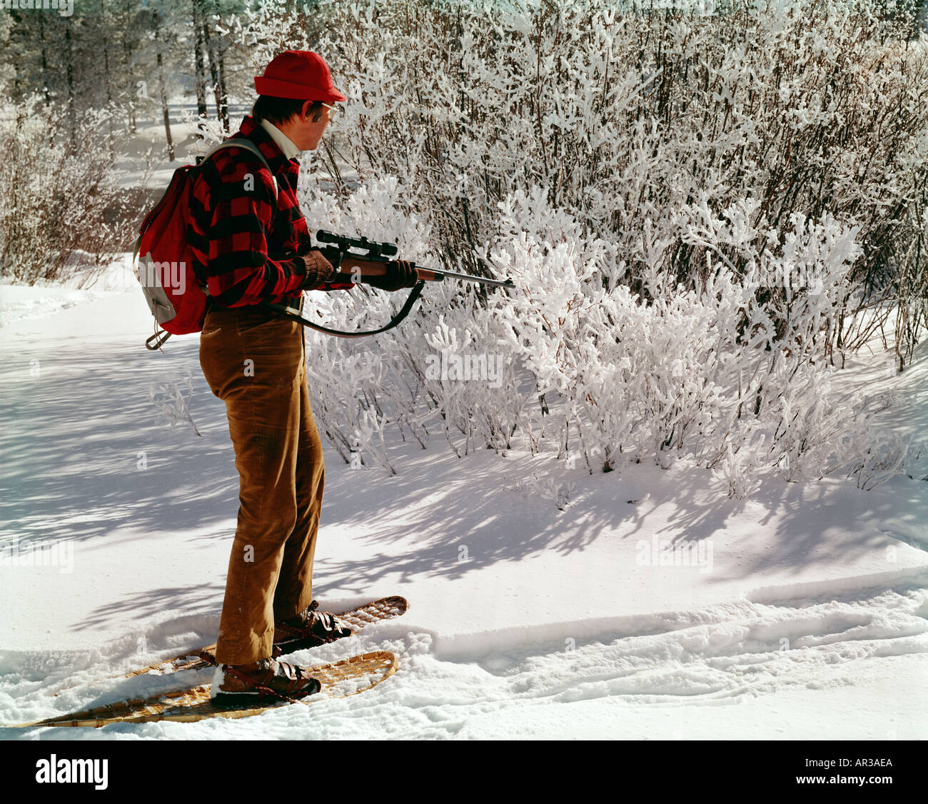 Winter hunter on snowshoes tracking game in a silvery white world Stock ...