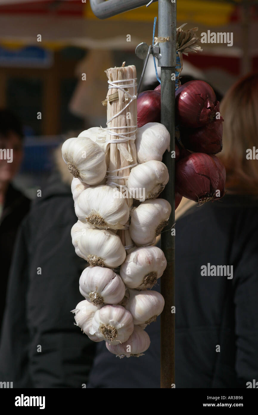 Bunch of garlic on market stall tied to post Stock Photo - Alamy
