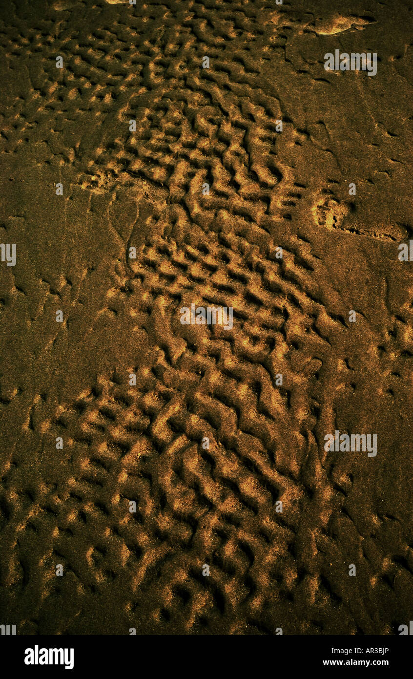 Footprints and ripples on Sandymount strand Dublin 4 Ireland Stock ...