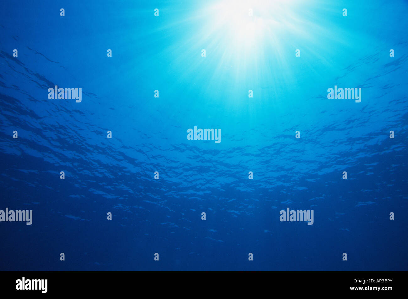 See through sea hi-res stock photography and images - Alamy