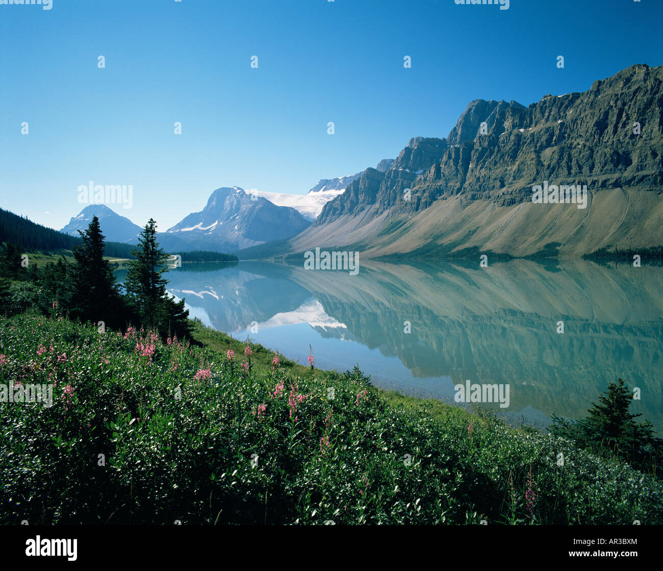 Bow lake at banff national park Stock Photo - Alamy