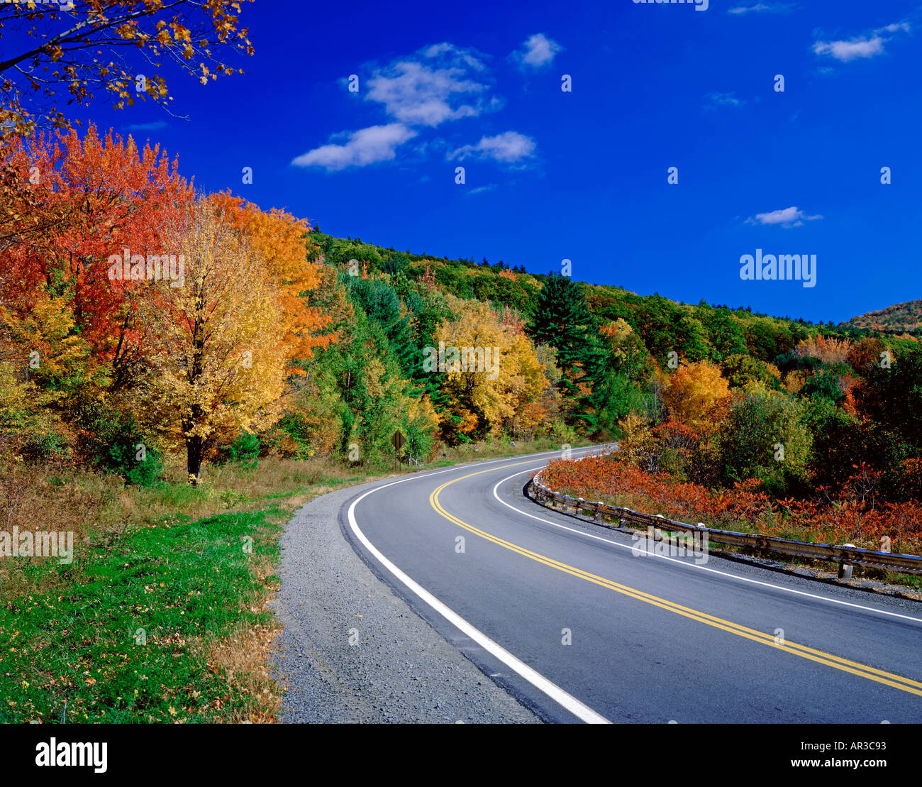 Highway 206 in upstate New York USA during fall foliage season Stock ...
