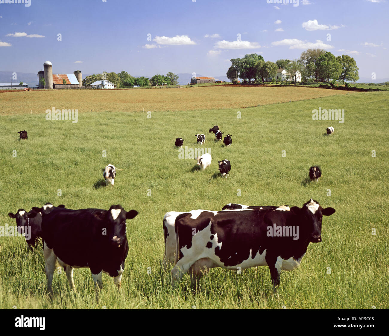 Wisconsin dairy farm hi-res stock photography and images - Alamy