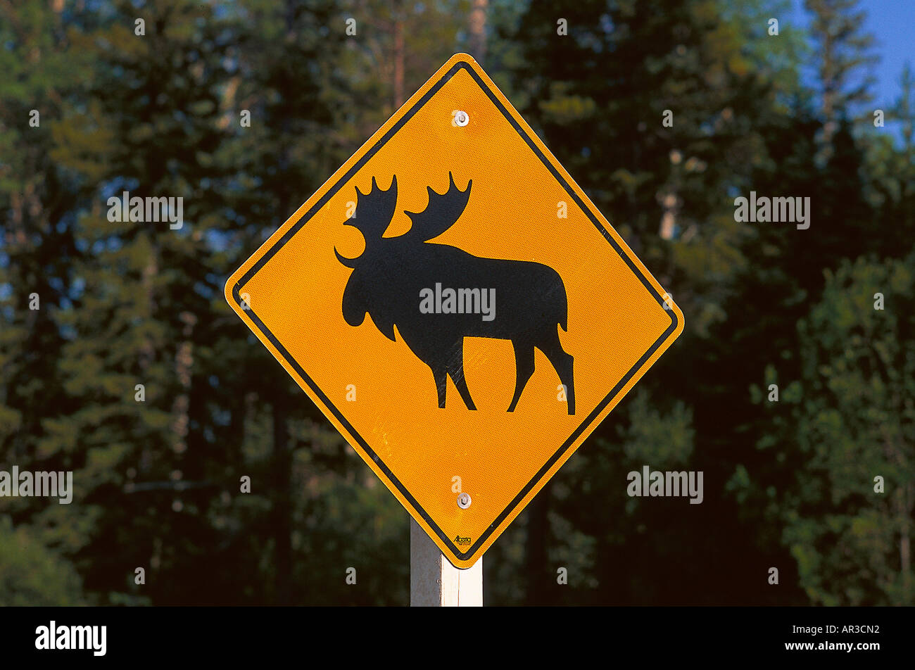 Elk traffic sign, Alberta Canada Stock Photo - Alamy