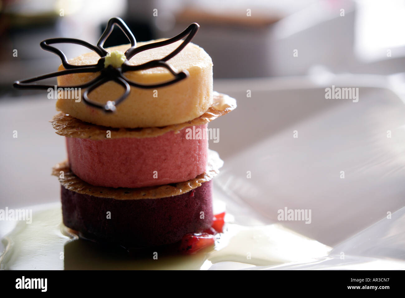 Trio of sorbet sherbet stacked on fancy plate with chocolate garnish ...
