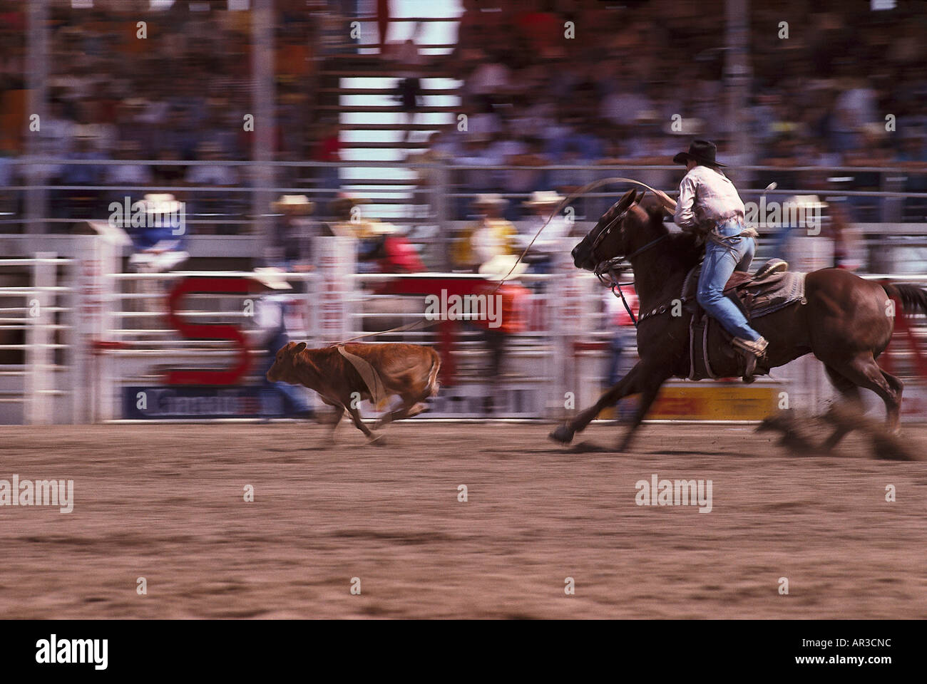 Calgary stampede stadium hi-res stock photography and images - Alamy