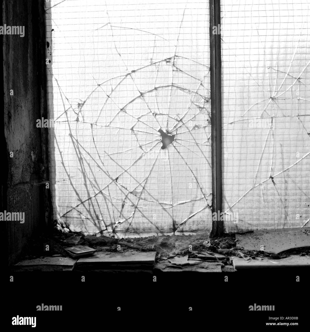 Spider window Black and White Stock Photos & Images - Alamy