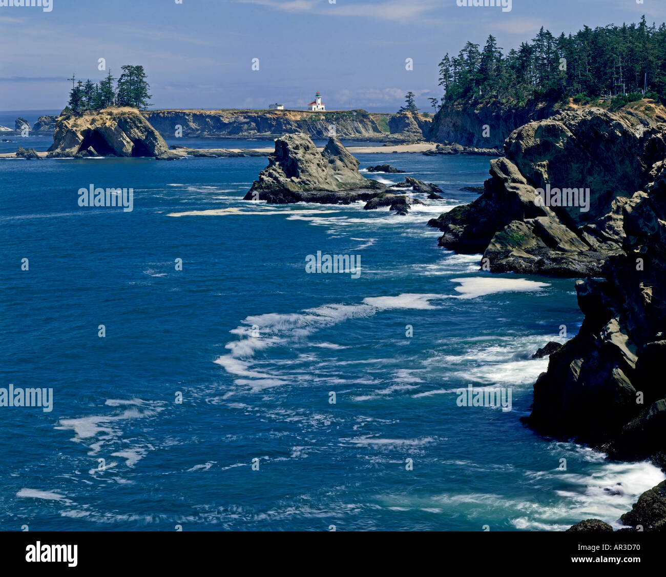 Cape Arago Lighthouse Trees on sea stack Gregory Point Wavebreak Coos ...