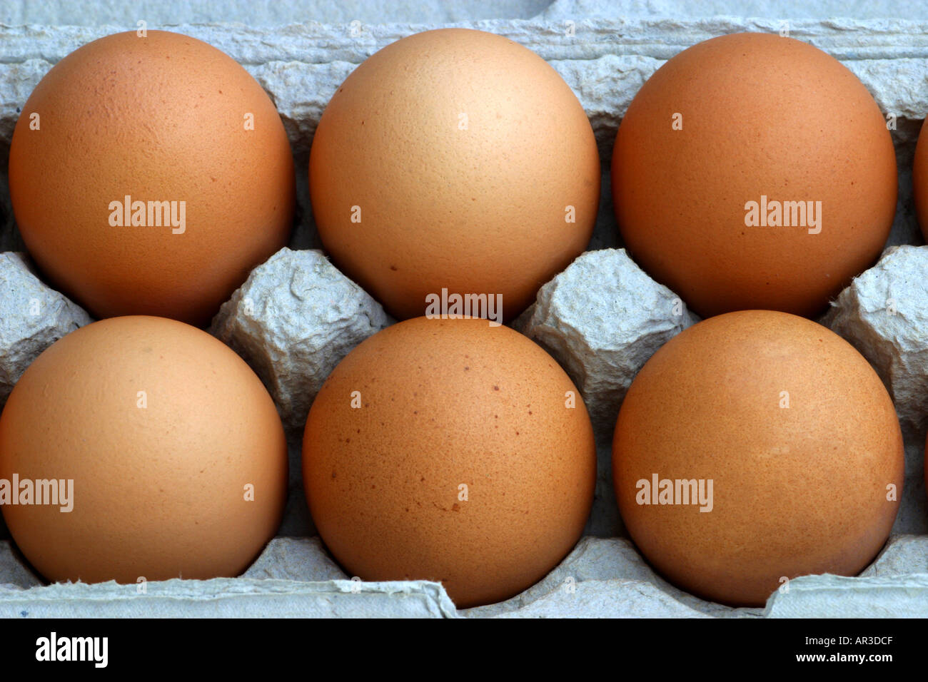 Six eggs on carton hi-res stock photography and images - Alamy