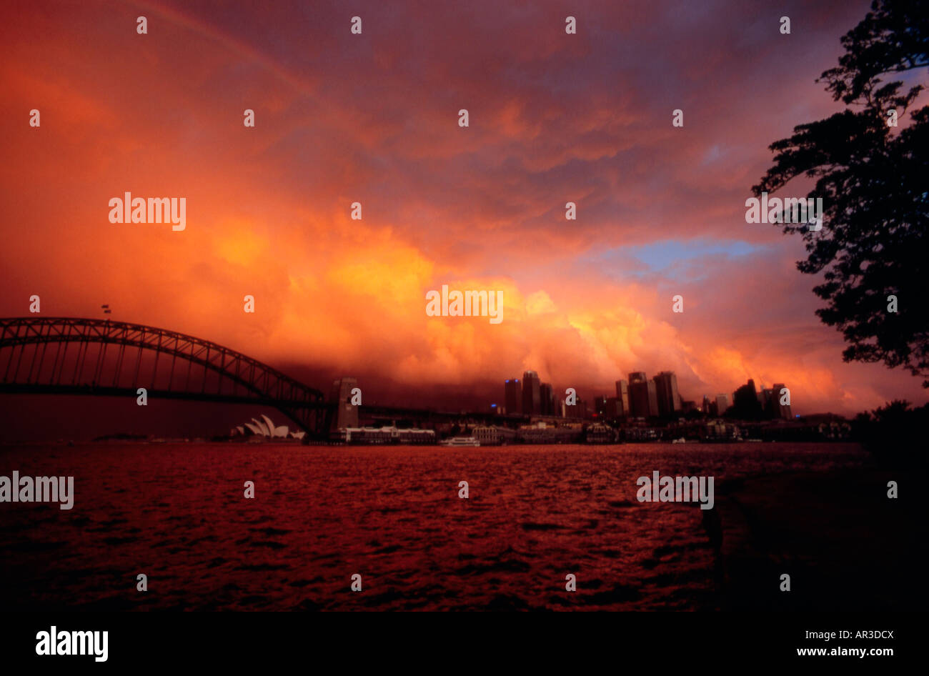storm over Sydney Harbour, dramatically lit at sunset, from McMahon’s ...