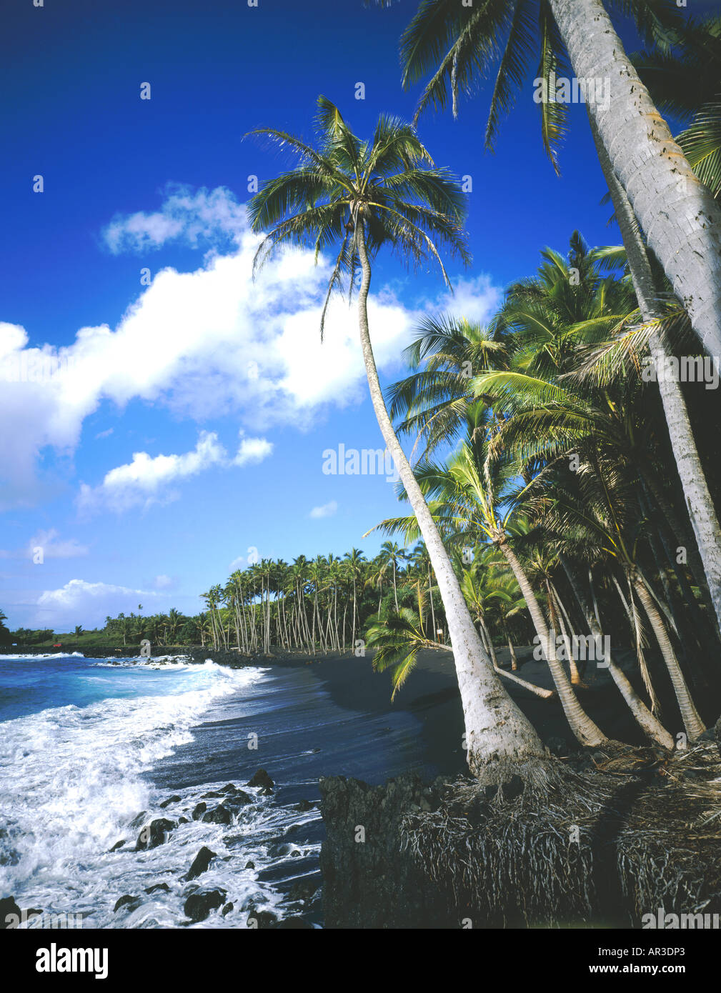Kaimu beach hi-res stock photography and images - Alamy