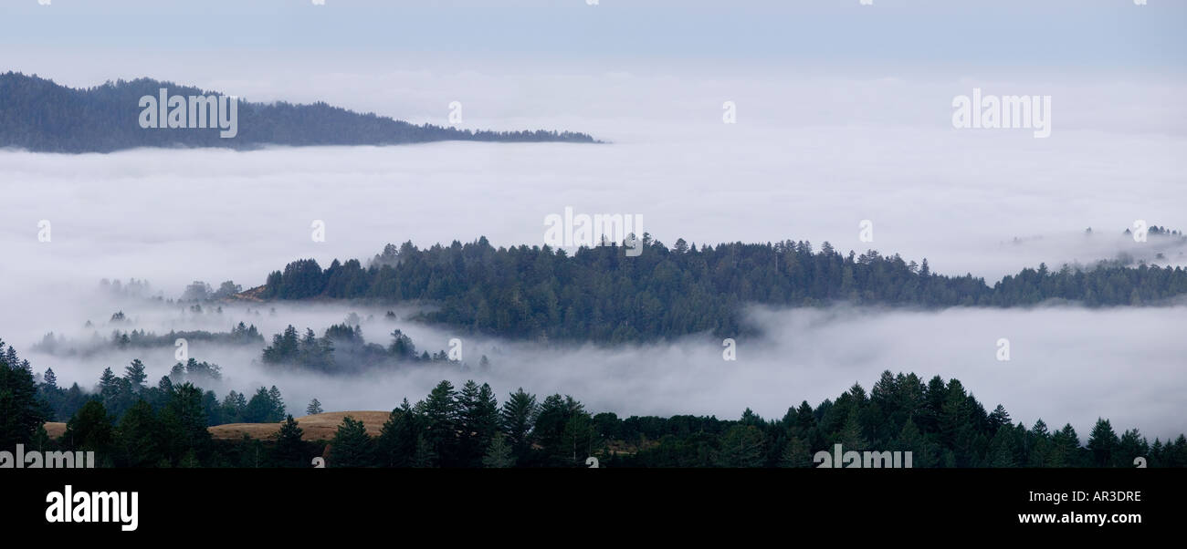 Fog and ridges Santa Cruz Mountains Stock Photo - Alamy