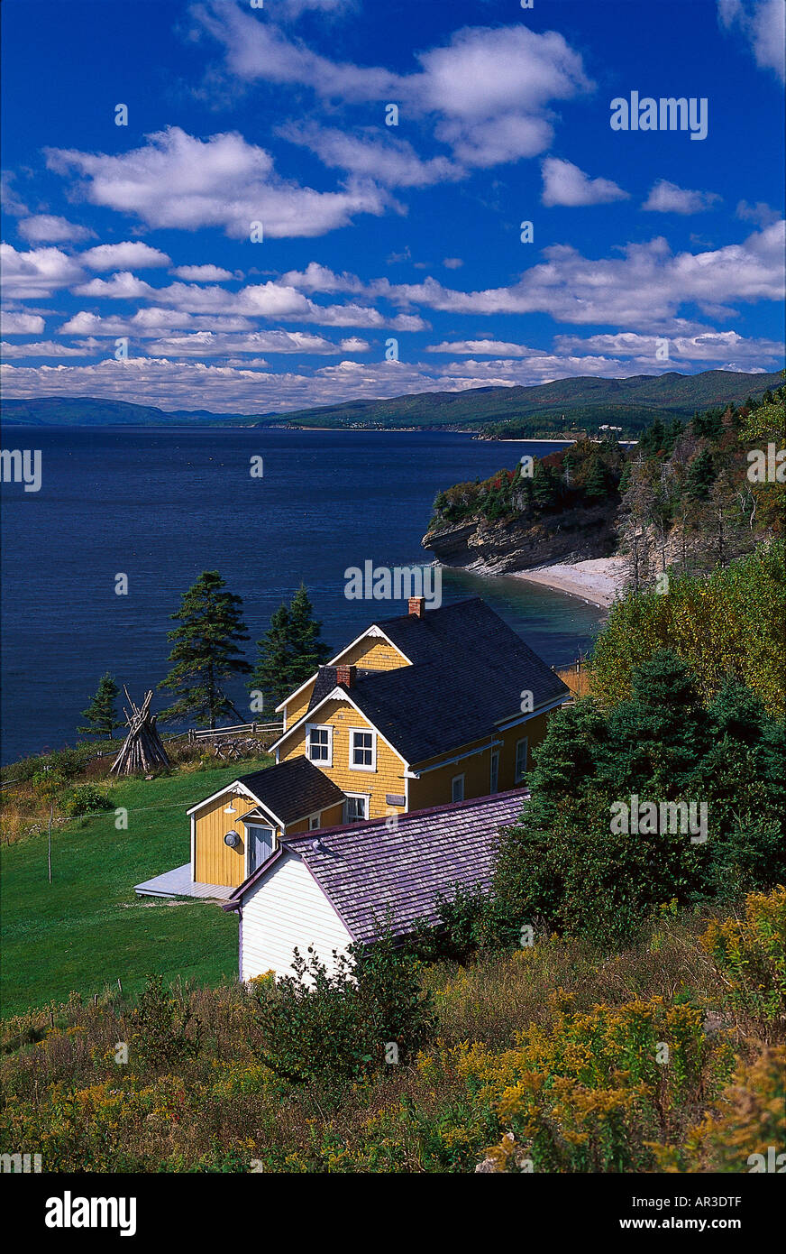 Blanchette hi-res stock photography and images - Alamy