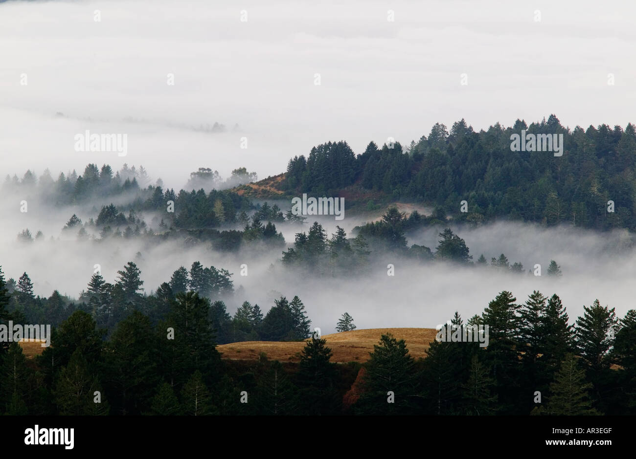 Fog and ridges, Santa Cruz Mountains Stock Photo - Alamy