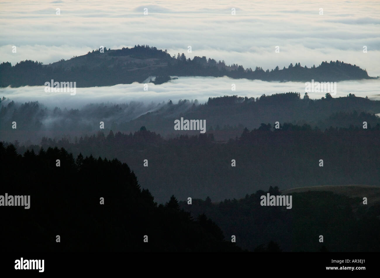 Fog ridges santa cruz mountains hi-res stock photography and images - Alamy