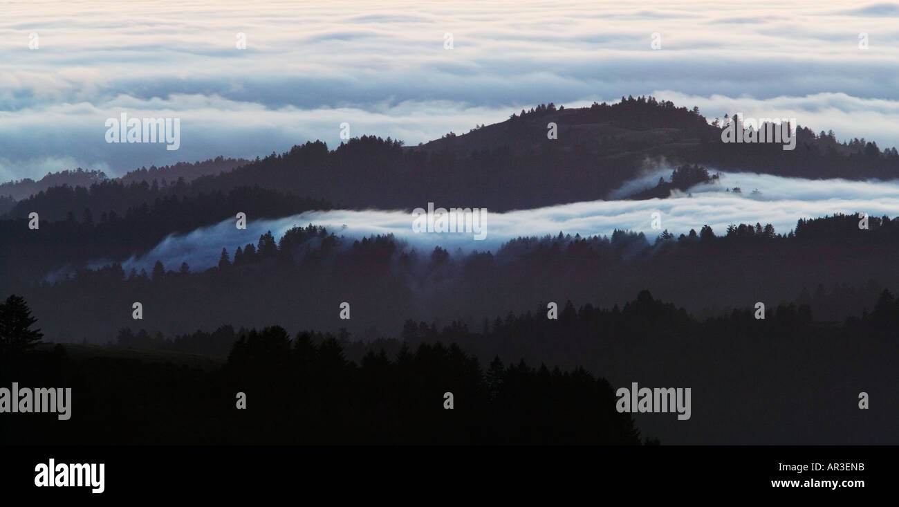 Fog and ridges Santa Cruz Mountains Stock Photo - Alamy