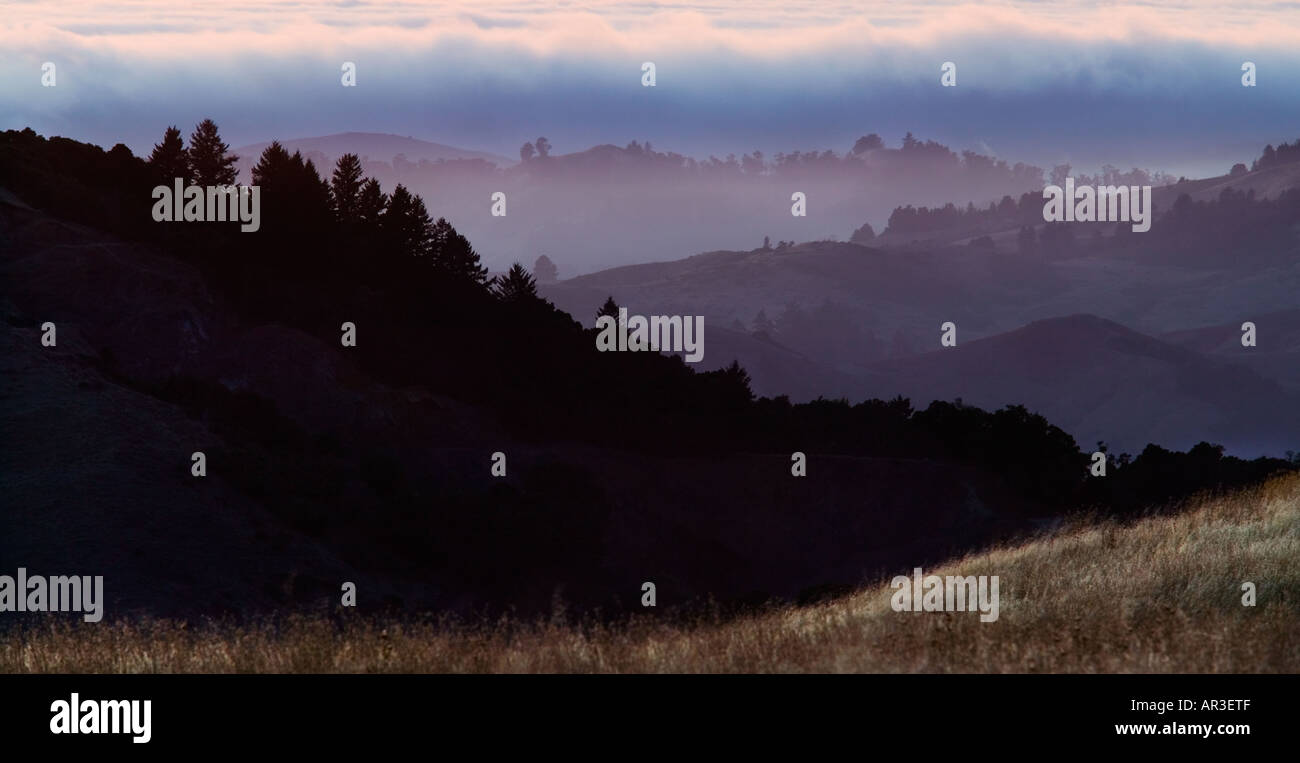 Fog ridges santa cruz mountains hi-res stock photography and images - Alamy
