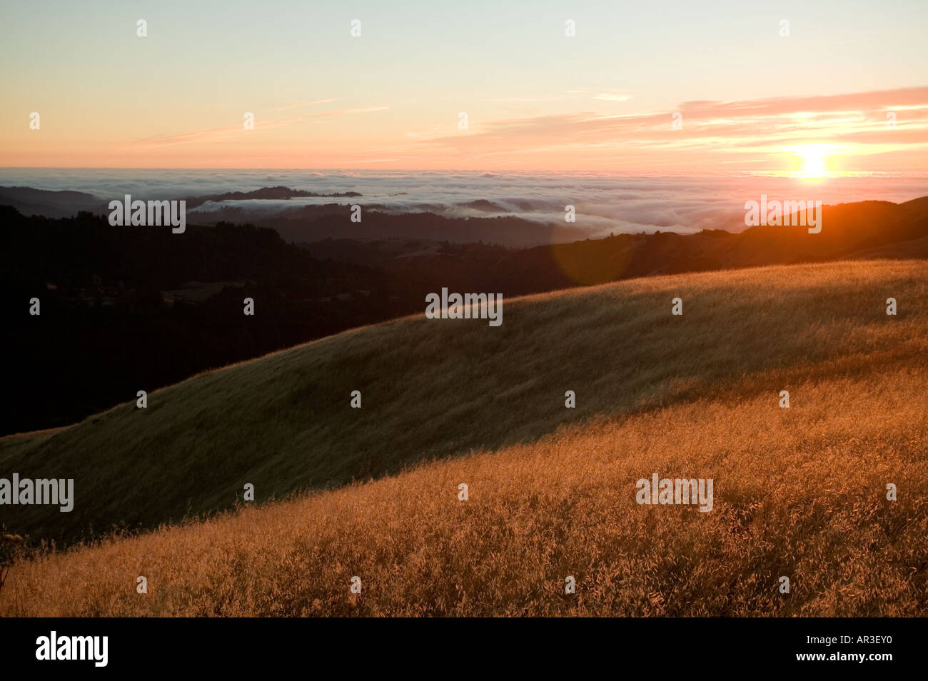 Fog ridges santa cruz mountains hi-res stock photography and images - Alamy