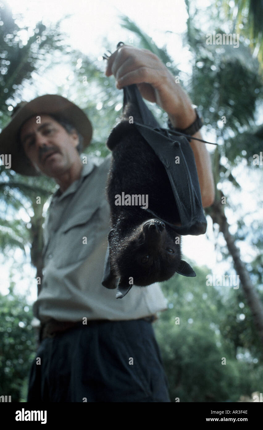 Fruit Bat Handler Billabong Wildlife Sanctuary Townsville Australia ...