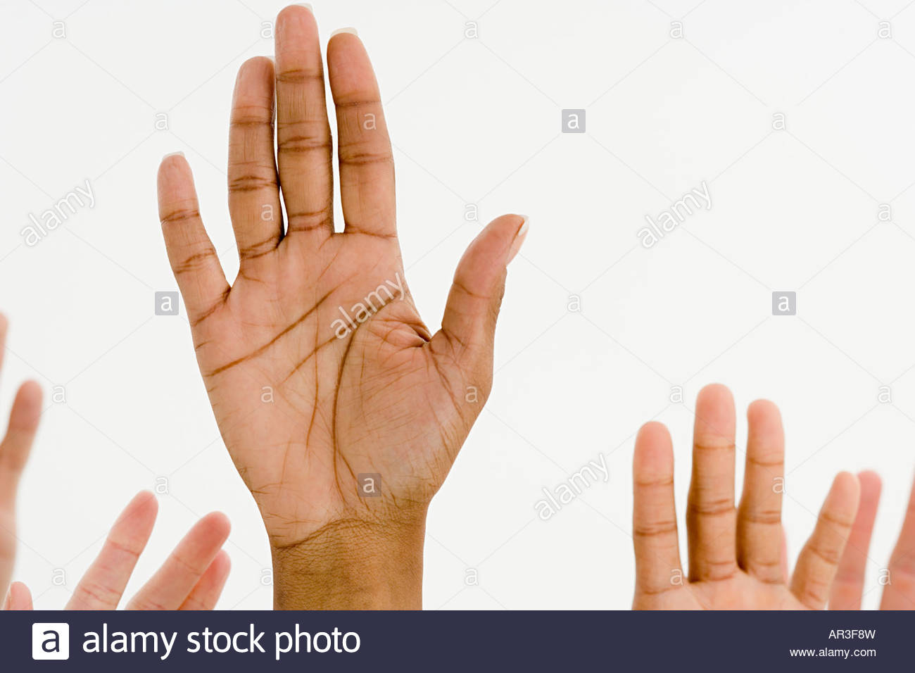Human Palm Stock Photos & Human Palm Stock Images - Alamy