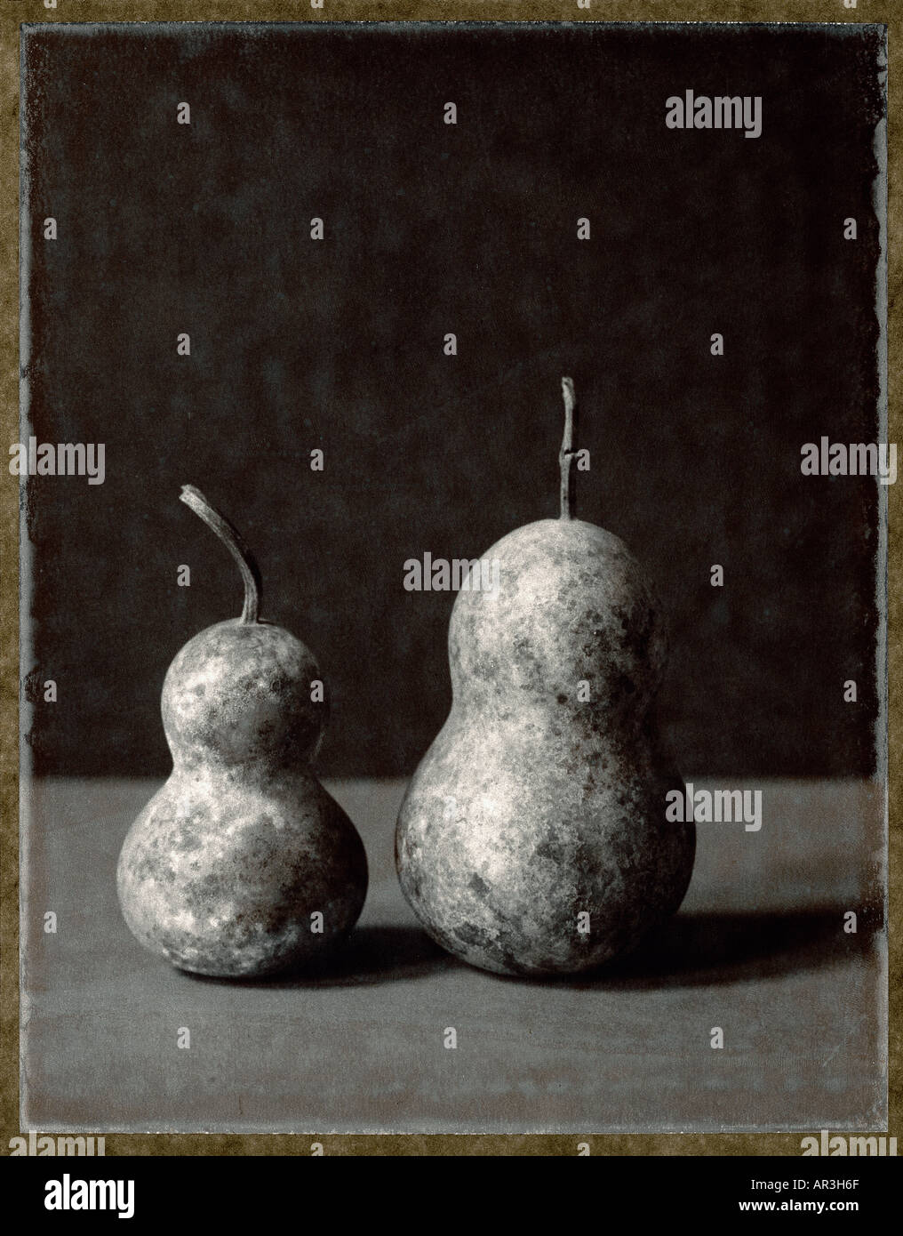 Still life of two old gourds on a table top Stock Photo - Alamy