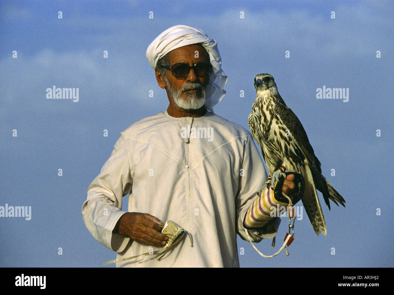 Falconer in the desert, Dubai, United Arab Emirates Middle East Stock ...